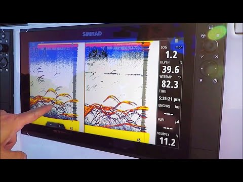 TRANSDUCER COMPARISON- TM165 High Wide CHIRP Vs. B175 High Chirp