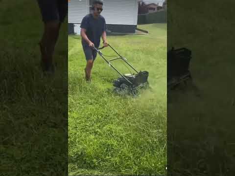 Tall Grass is no match for this guy😂
