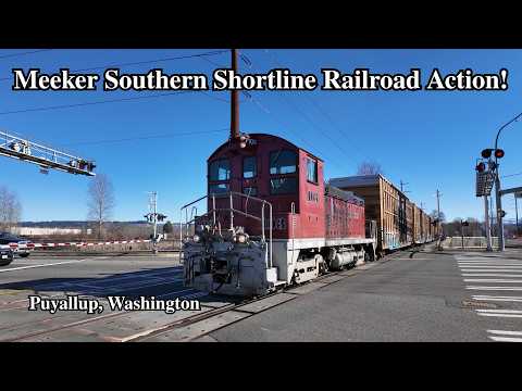 Meeker Southern Railroad - Shortline Freight Train Action in Puyallup!