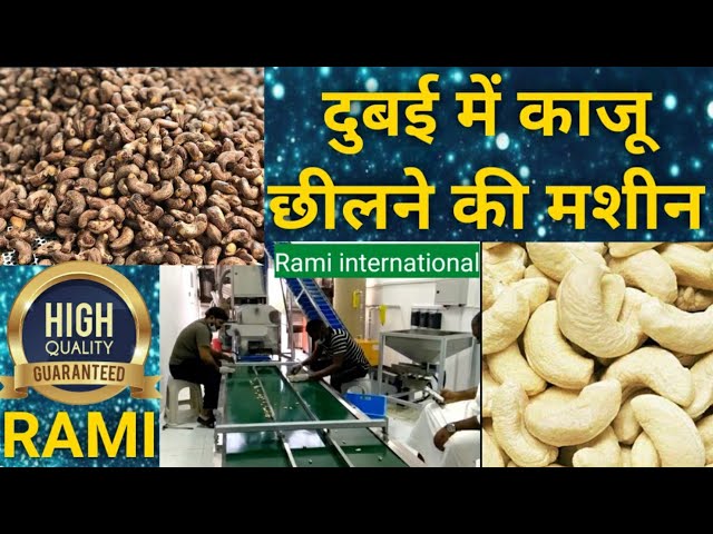 Peeling Machine - Cashew Peeling Machine Manufacturer from Ahmedabad