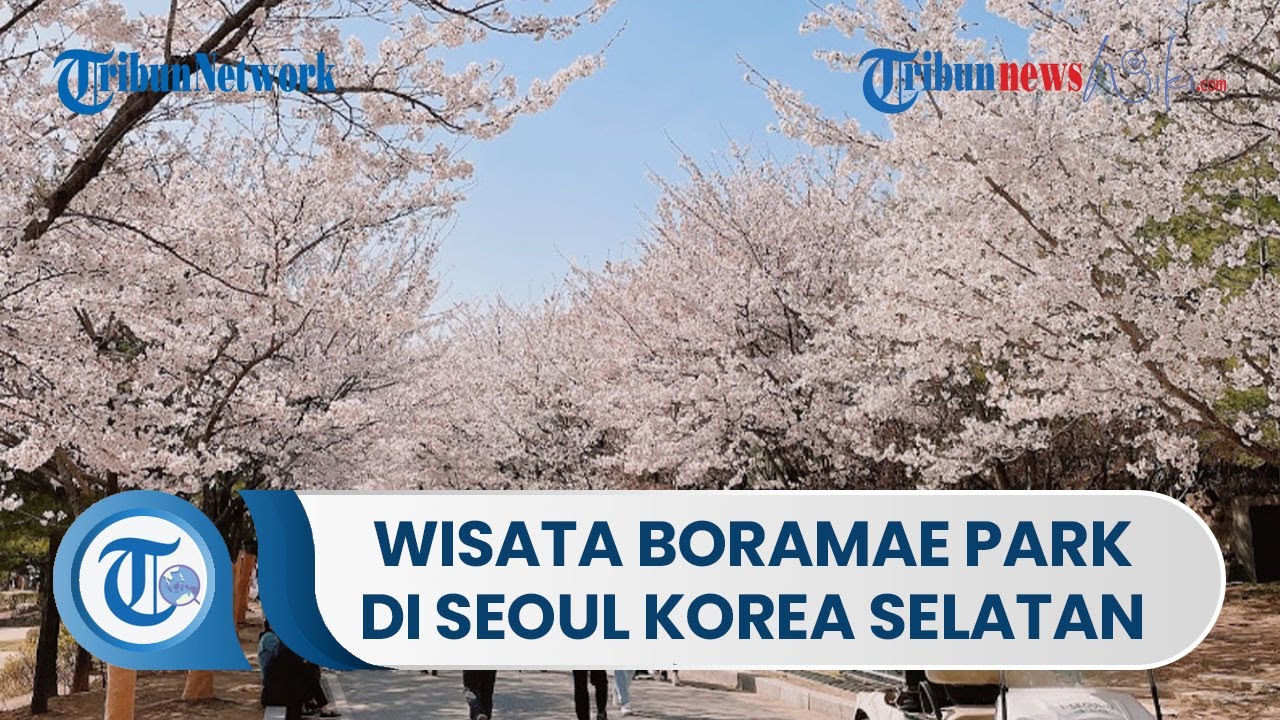 Wisata Boramae Park Taman Rekreasi di Seoul Korea Selatan - Tribun Video