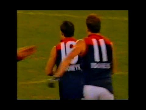 1994 - Melbourne v North Melbourne - Sunday Footy Show - Round 22 - MCG - AFL
