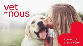 3 Best Veterinary Clinics in Montreal, QC - Expert Recommendations