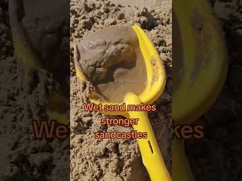 Amazing Sandcastle Building Hack to Save Time 🌊🌴🐚 #sandcastles #lifehacks