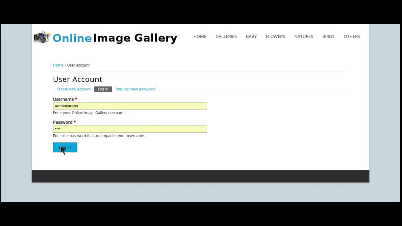 Online Image Gallery Advance | PHP and MySQL Project Source Code | PHP MySQL CRUD Project