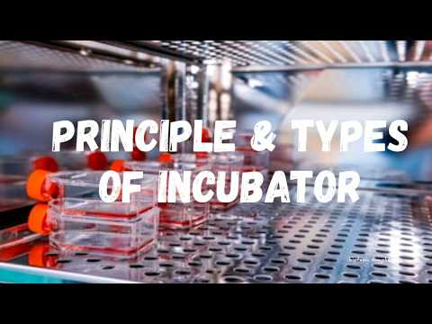 Principle and Types of Incubator