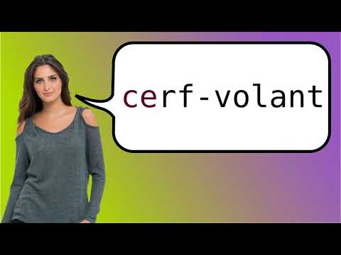 How to say 'kite' in French?