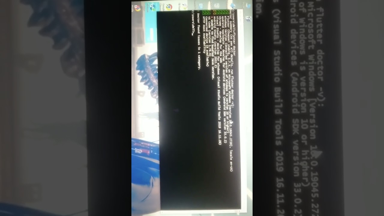 #flutter doctor #setup #programming