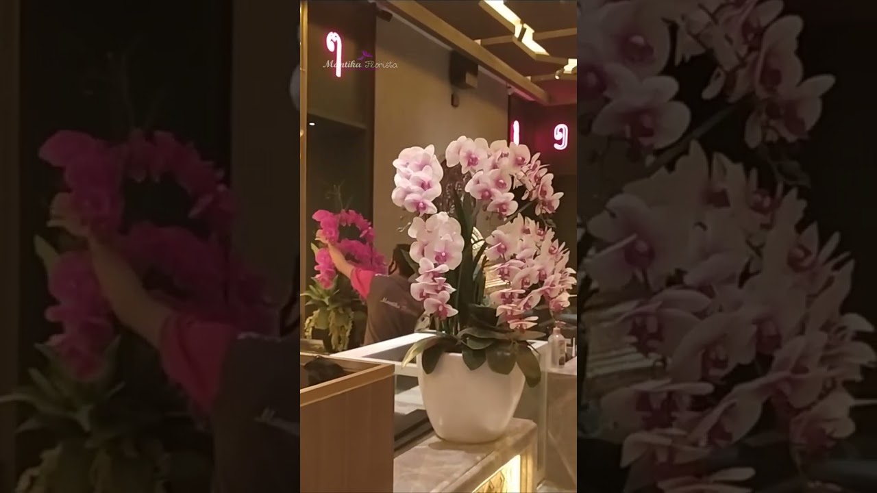Artificial Orchid Flowers by Mantika Florista #shortsvideo #faketree #shorts #short #shortvideo