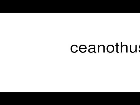 How to pronounce ceanothus