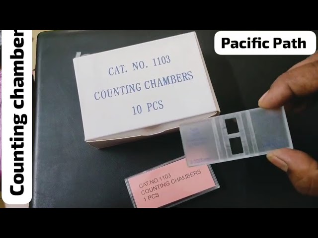 Blood Counting chamber - Counting Chamber Trader - Wholesaler ...
