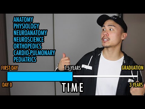 What to Expect from PT School