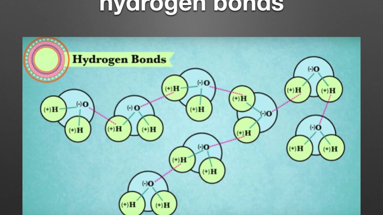 ABE 170A1 Water Research Paper Final Video
