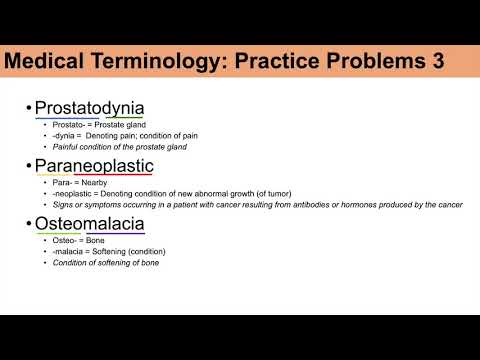 Medical Terminology | The Basics and Anatomy | Practice Lesson 4