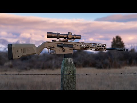 SIG SAUER MCX-REGULATOR: Redefining the Ranch Rifle | FOG HORN