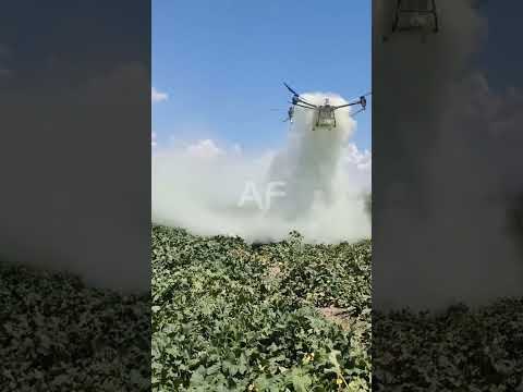 Agriculture Drone Spraying on the Crops #shorts #agriculture #drone #spraying #farming #machinery