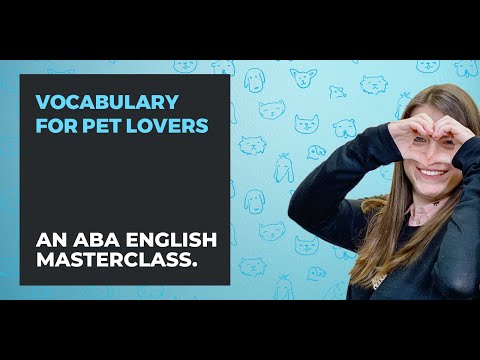 Learn pet vocabulary in English | ABA English