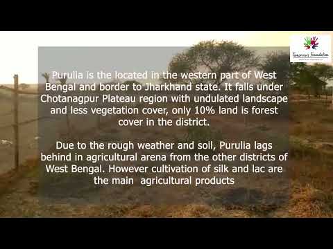 social forestry