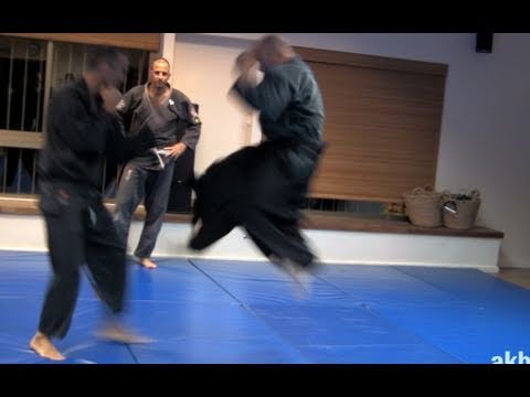 Hoken Juroppo, sixteen striking treasures - Ninjutsu | AKBAN