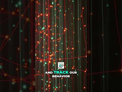 Social Media Algorithms: How They Track & Target You