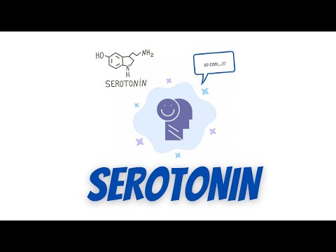 Serotonin: what is it & How does it works?