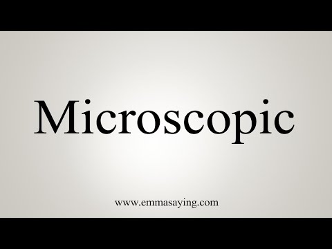 How To Say Microscopic