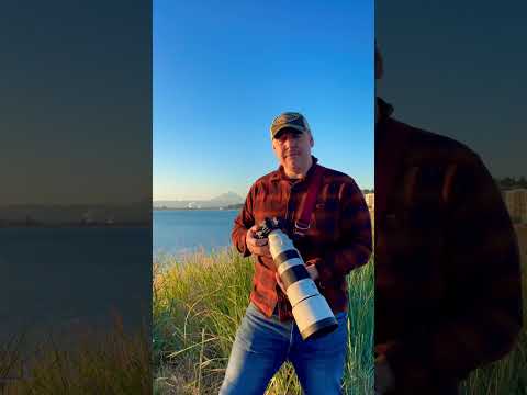 The Sony RX10 Mark III in the hands of an newbie. Is it possible to get good results? #photography