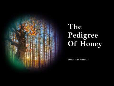 The Pedigree of Honey by Emily Dickinson