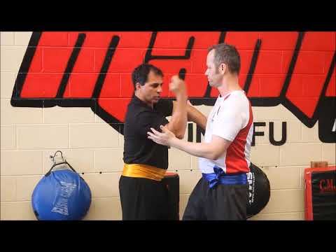 Mantis Kung Fu - Sifu Matthew Hansen - Tonglong