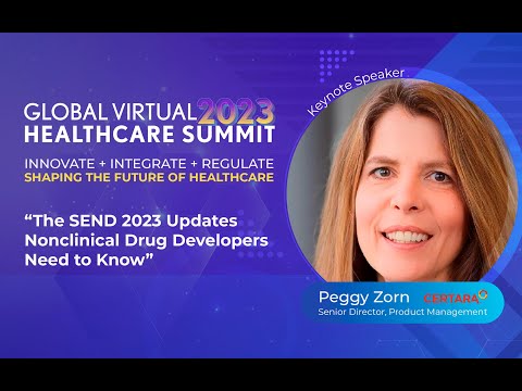 2023 Global Virtual Healthcare Summit: Keynote Speaker Peggy Zorn