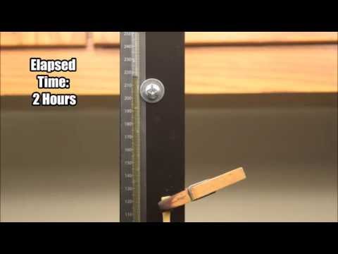 Osmosis Time-Lapse with Osmometer