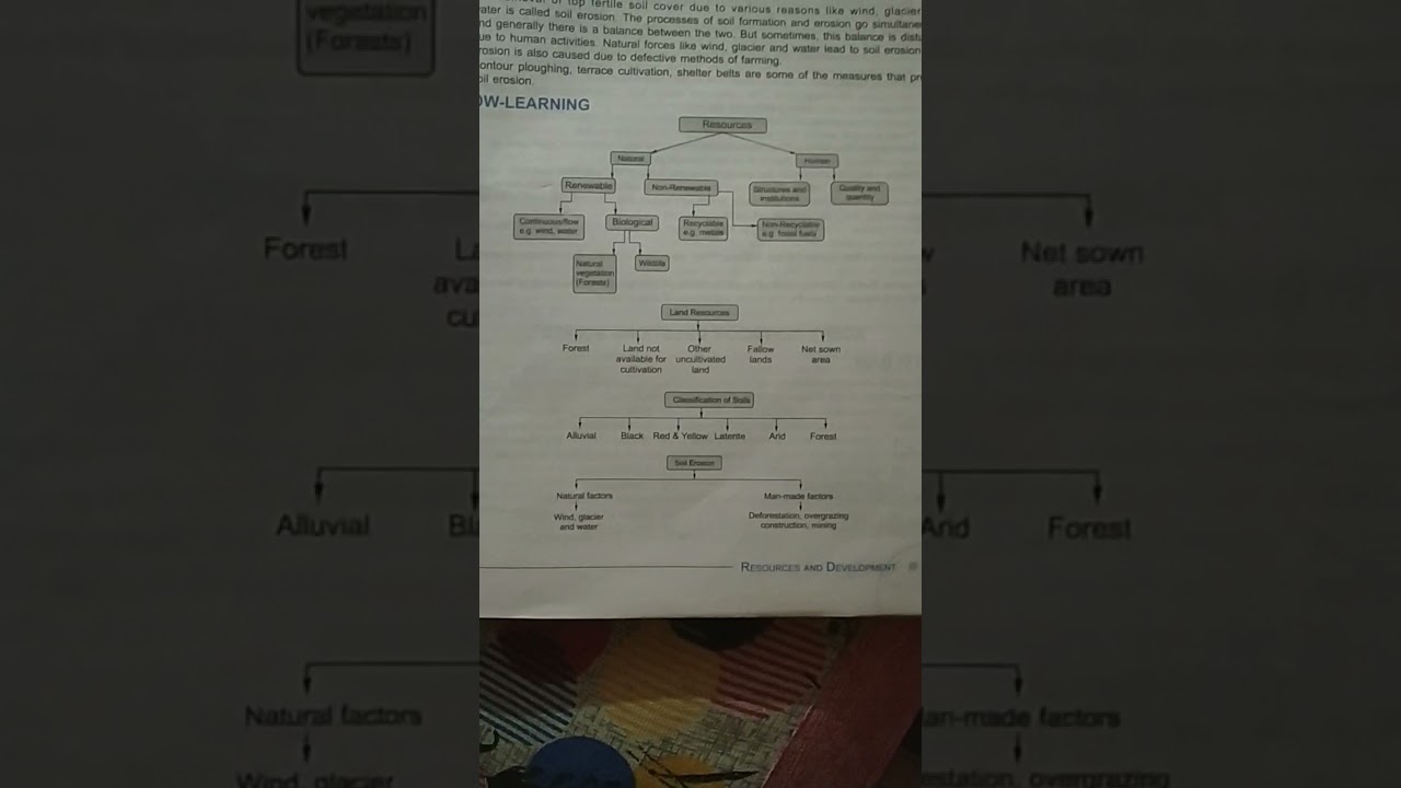 flow chart of geography chapter 1 #geography #class10 #boardspreparation #flowchart
