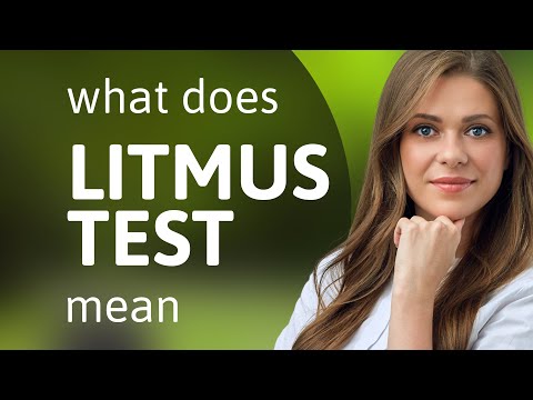 Litmus test — LITMUS TEST meaning