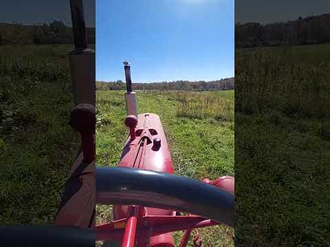 Beautiful Fall Day for a Ride on My Favorite Tractor- Farmall H #farmall #farming #agriculture