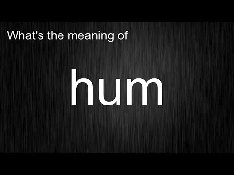 Unlock the Hidden Power of the Word hum! Standard English Word Meaning Lesson!