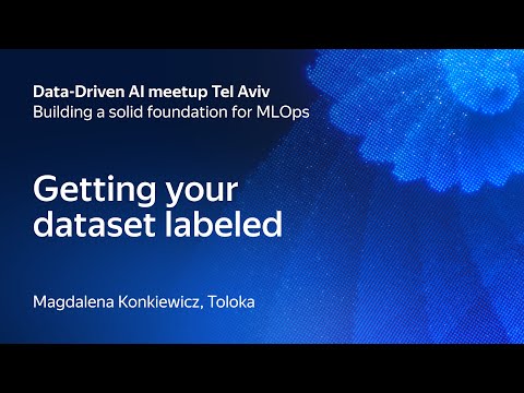 Getting your dataset labeled