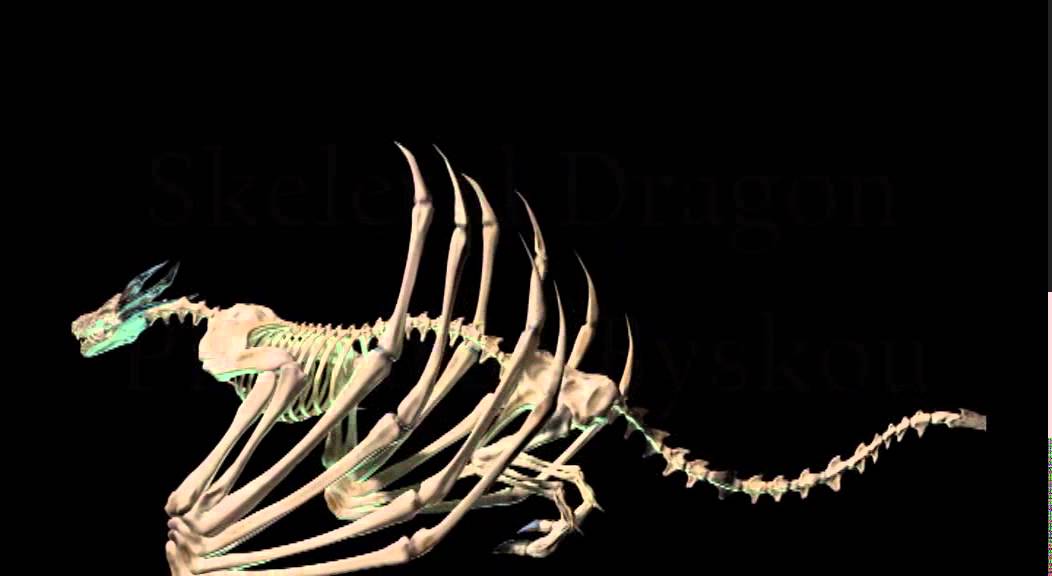 Skeletal Dragon - Turnaround