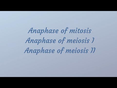 Difference between anaphase of mitosis, anaphase I & anaphase II of meiosis