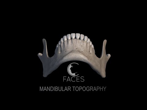 MANDIBULAR ANATOMY FOR FACIAL INJECTORS