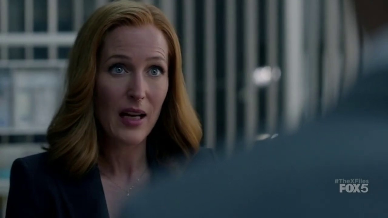 Dana Scully Neuroscience 101
