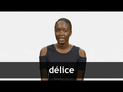 English Translation of “DÉLICE” | Collins French-English Dictionary