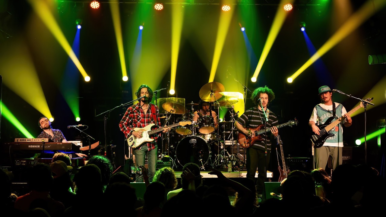 Dogs In A Pile - Livestream - 4/18/2026 - Empire Live - Albany, NY