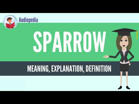 What Is SPARROW? SPARROW Definition & Meaning
