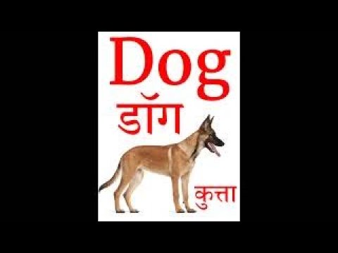 Dog hindi meaning with photo