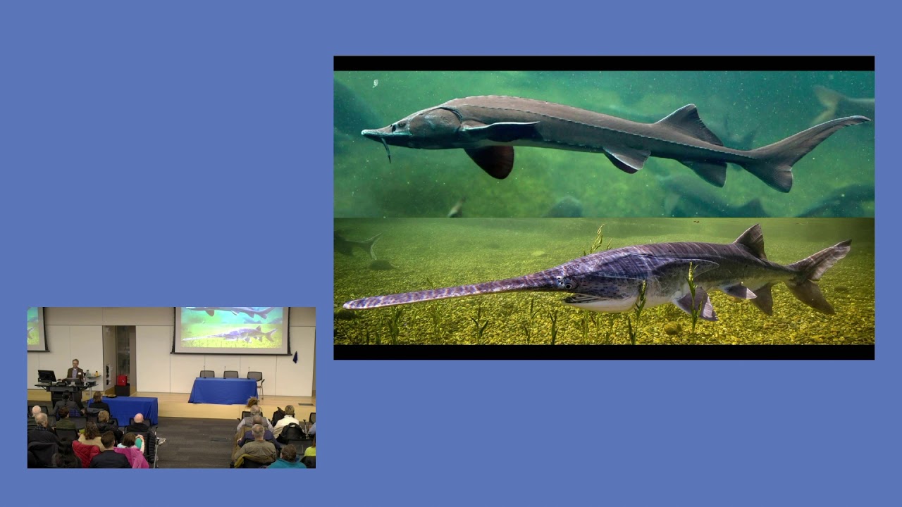 Expert Expo - Lake Sturgeon: Past, Present, and Future of an Ancient Fish