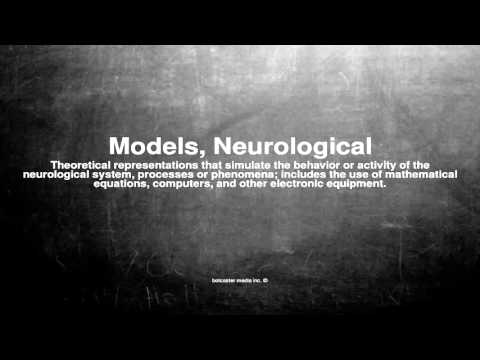 Medical vocabulary: What does Models, Neurological mean