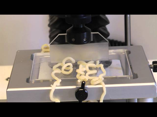 Texture Analyzer - SMS Texture Analyzer Trader - Wholesaler ...