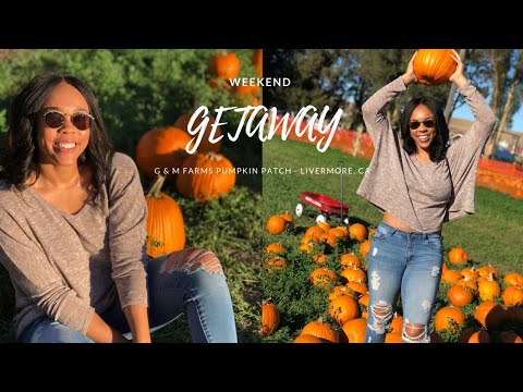 Weekend Getaway | Corn Maze & Pumpkin Patch - Livermore, CA 2018