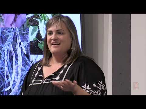 Sonoran Desert Food and Lifeways, Past and Present