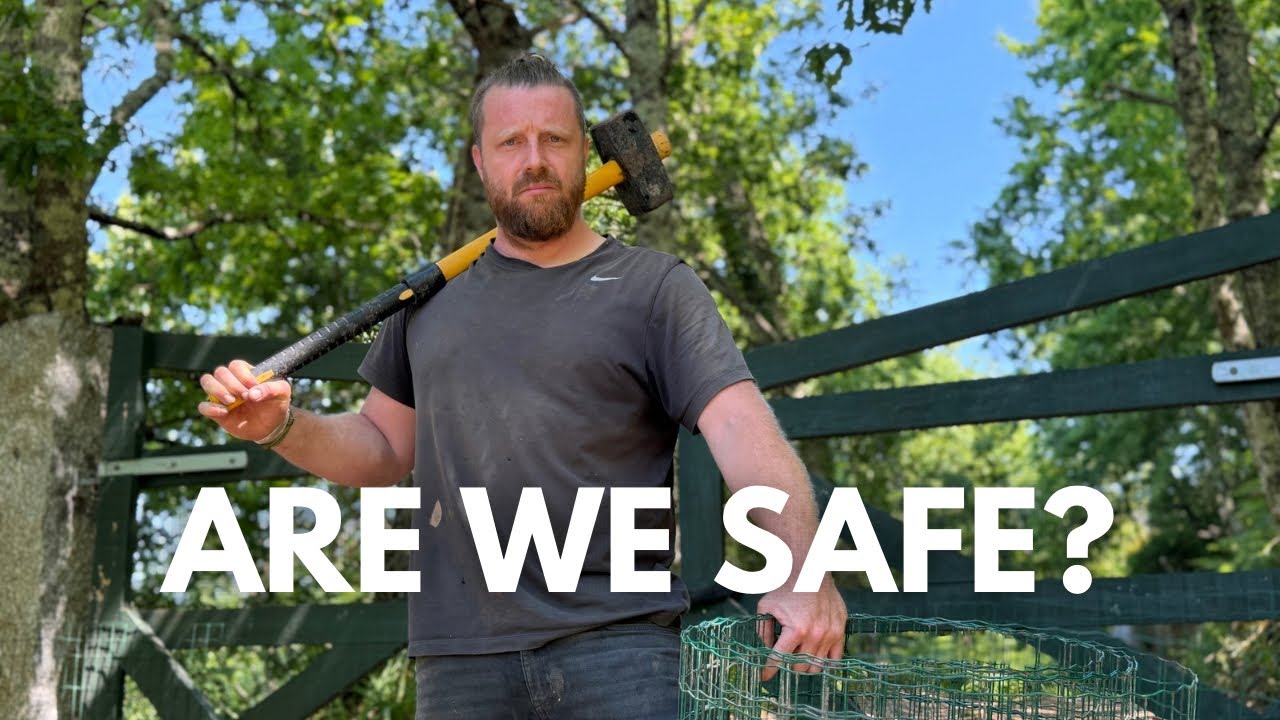 Simple Upgrades That Are Protecting Our Property 